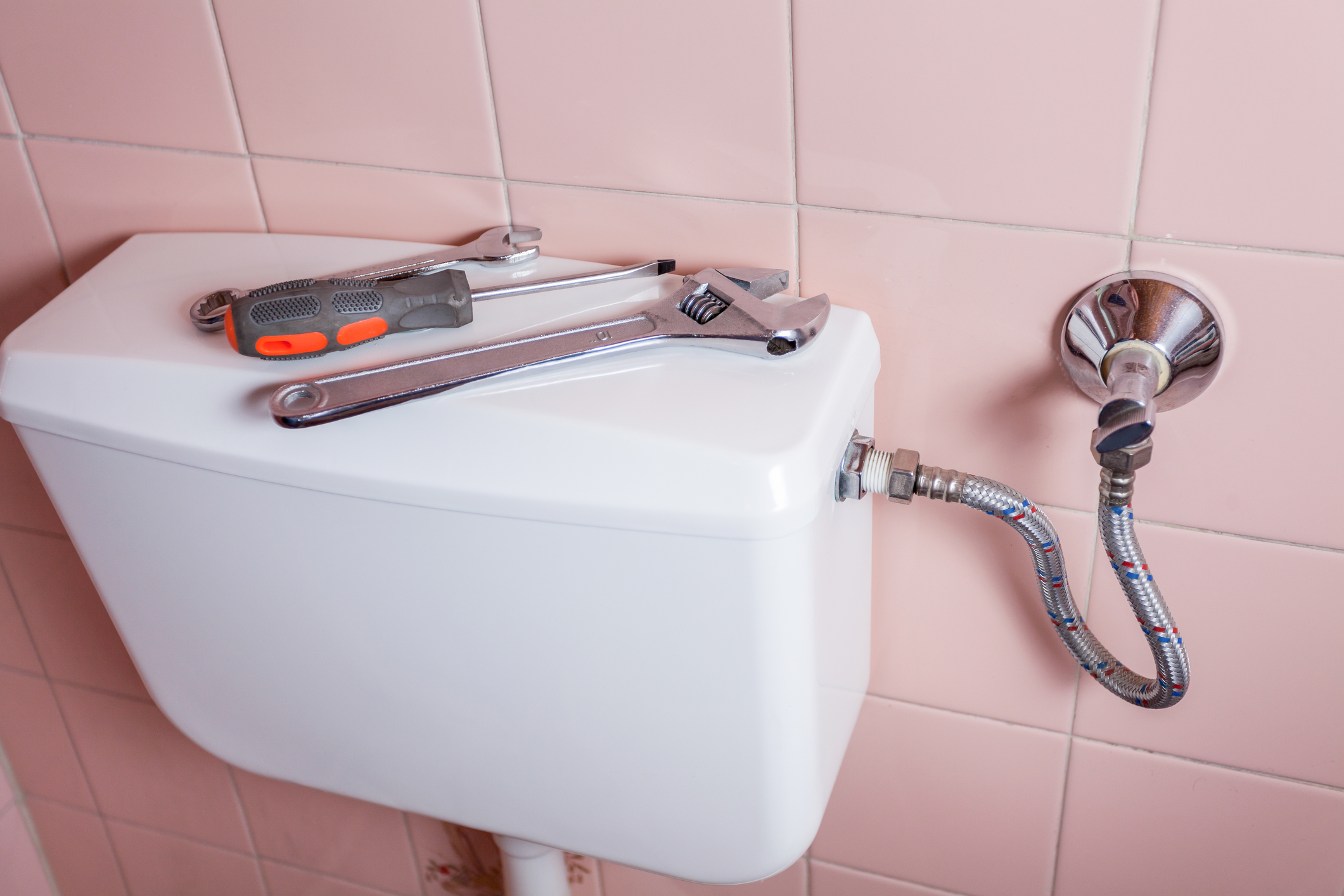 4 Common Toilet Problems You Can DIY Plumbing Force 4 Common Toilet Problems You Can DIY Plumbing Force